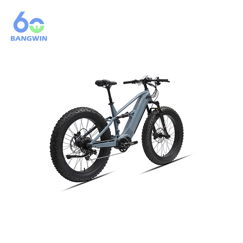 16/20 Inch Bw Oem Mini Folding Electric Bike - City Folding Ebike, High ...