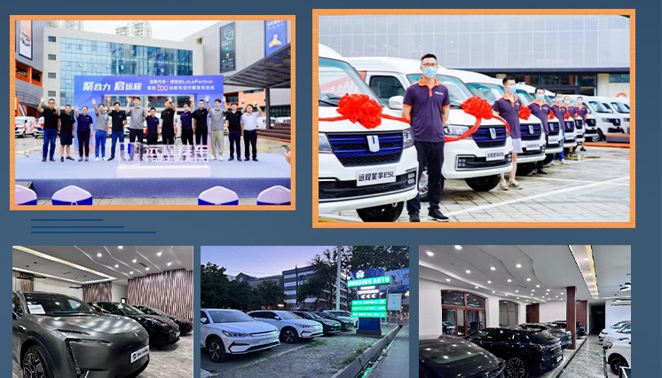 Byd Electric Campervans And Vans For Camping And Delivery, High Quality ...