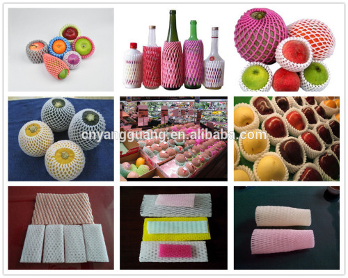 Highest Quality Pe Foam Mango Lemon Fruit Net Packing Net Machine, High ...