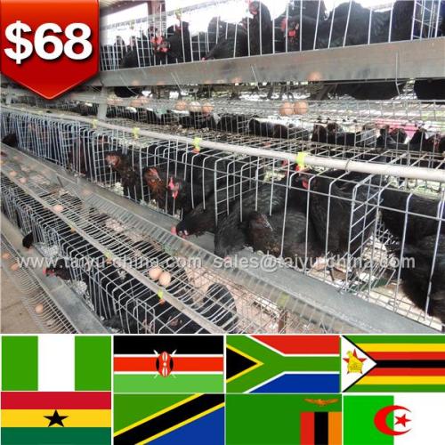 Automatic Manure Removal Equipment Bird Cages For Layer Chickens, High ... Automatic Manure Removal Equipment Bird Cages For Layer Chickens, High ...