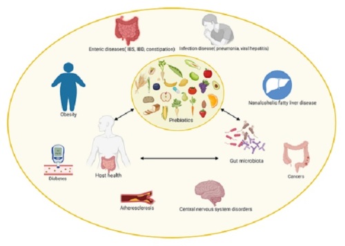 Stachyose 건강한 성분 식품 보충제, Bossgoo.com의 고품질 Stachyose 건강한 성분 식품 보충제