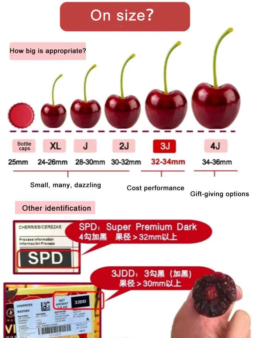 A guide to effective Pit avoidance for cherries