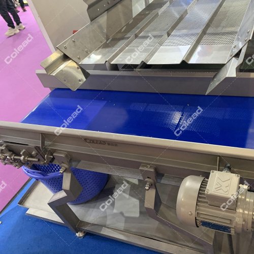 Two-way Belt Conveyor For Vegetable Processing, High Quality Two-way ...