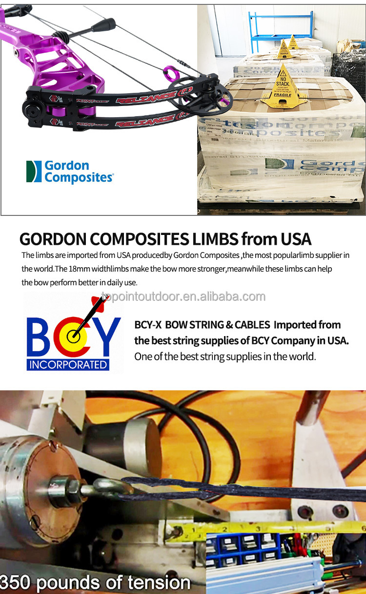 Topoint Archery 36 \ "target Compound Bow 패키지 : 조정 가능한 캠, Cnc 기계 라이저 ...