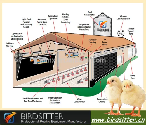 Automatic Poultry Chicken Farming Materials, High Quality Automatic ...