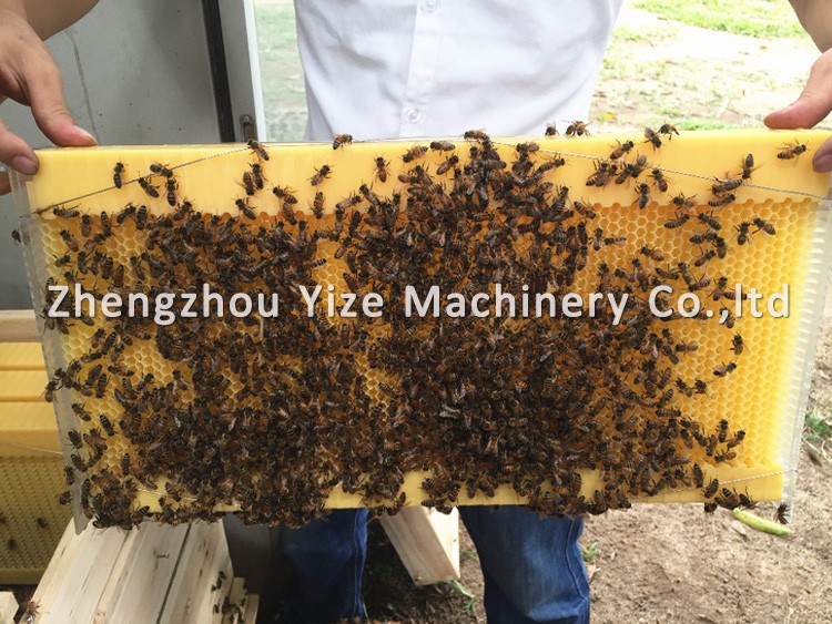 Beehive Box: Honey Beehive And Beehive Making Machine For Bee Farms And ...