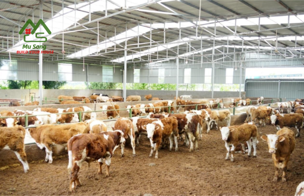 Modern Steel Structure Buildings For Goat And Sheep Farms, High Quality ...