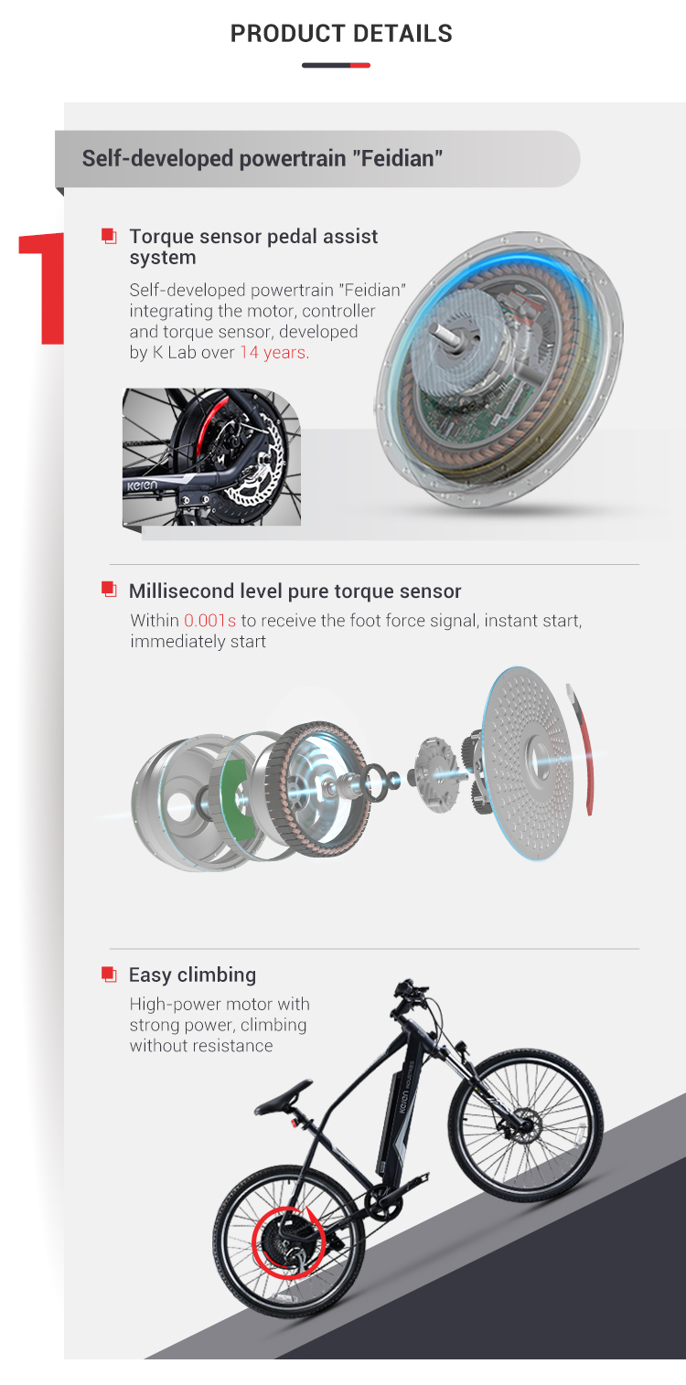 Torque Sensor Pedal Assist Electric Mountain Bike Mtb Bicicleta ...