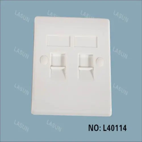 Simple Type Dual Ports Face Plate, High Quality Simple Type Dual Ports ...