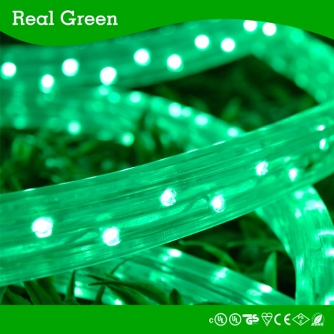 2-wire Flat Emerald Green Led Rope Light, High Quality 2-wire Flat ...