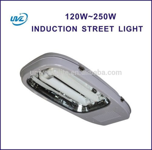 120~250w Induction Street Light, High Quality 120~250w Induction Street ...