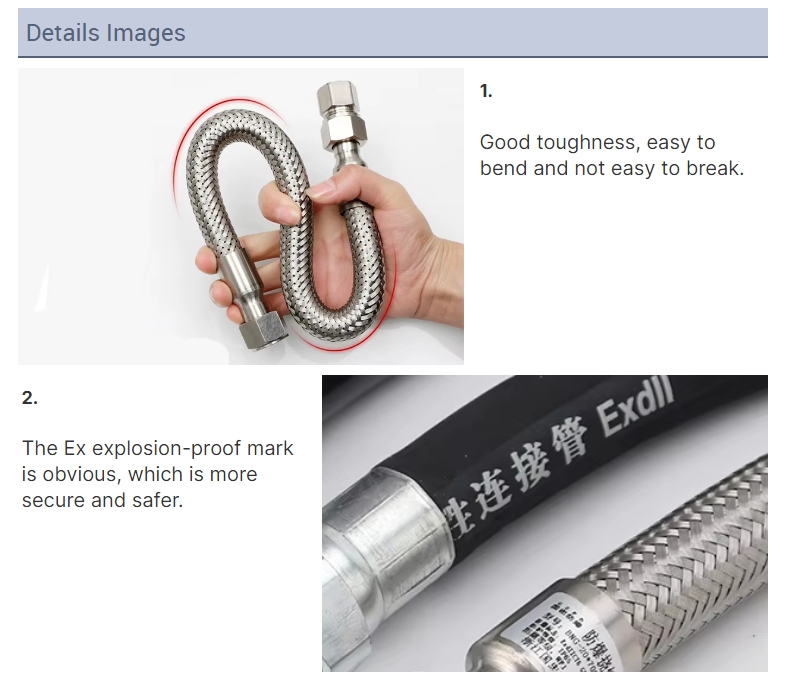 Bng Atex Explosion-proof Flexible Conduit, Stainless Steel, 30cm, High ...