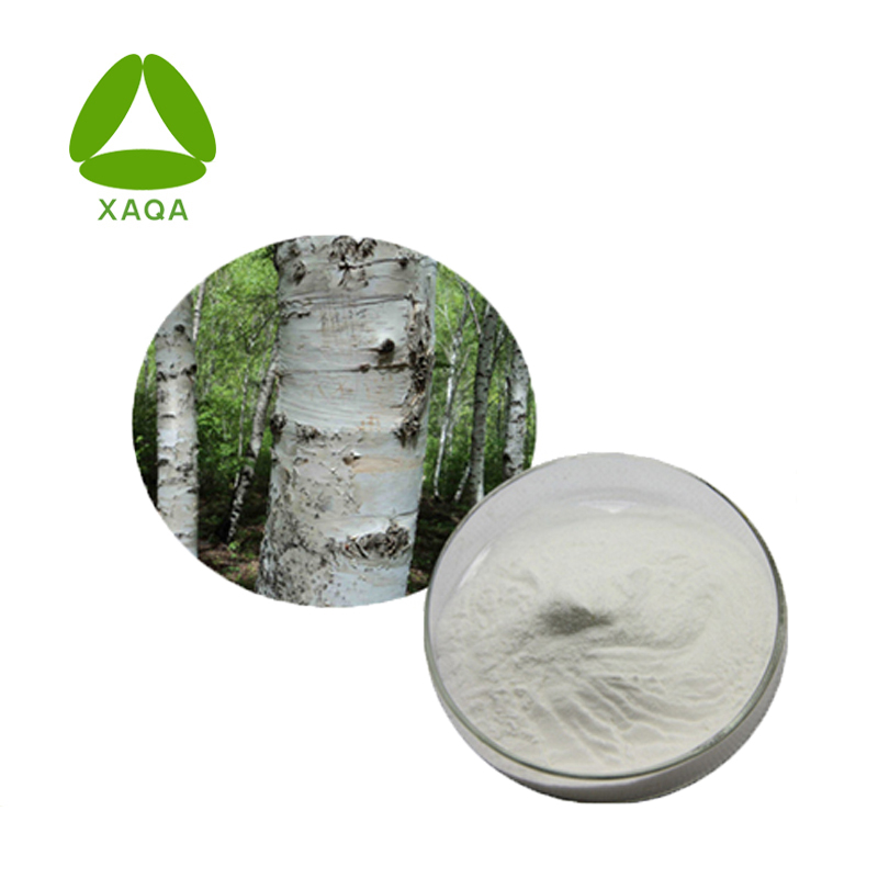 98% Betulinic Acid Birch Extract Powder Cas 472-15-1 คุณภาพสูง 98% ...