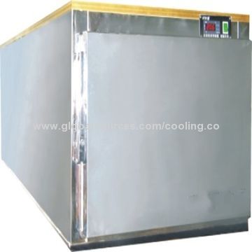 Cadaver Freezer With Safe Control System, High Quality Cadaver Freezer ...