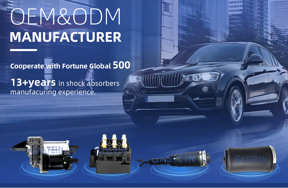 Tesla Model 3/y New Energy Shock Absorber Suspension Cover M17125a0855 ...