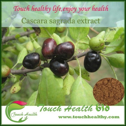 Powerful Laxative Cascara Sagrada Bark Extract, High Quality Powerful ...