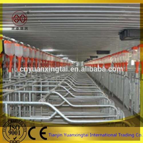 Pig Gestation Stall/galvanised Steel Pipe/tube, High Quality Pig ...