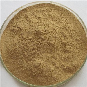 Rumex Crispus Extract, High Quality Rumex Crispus Extract on Bossgoo.com