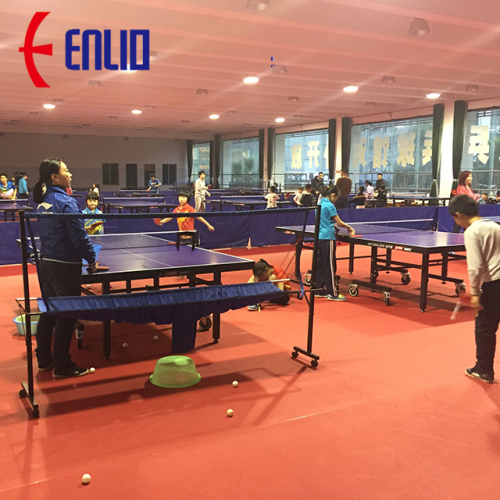 Ittf Approved Table Tennis Court Flooring, High Quality Ittf Approved ...
