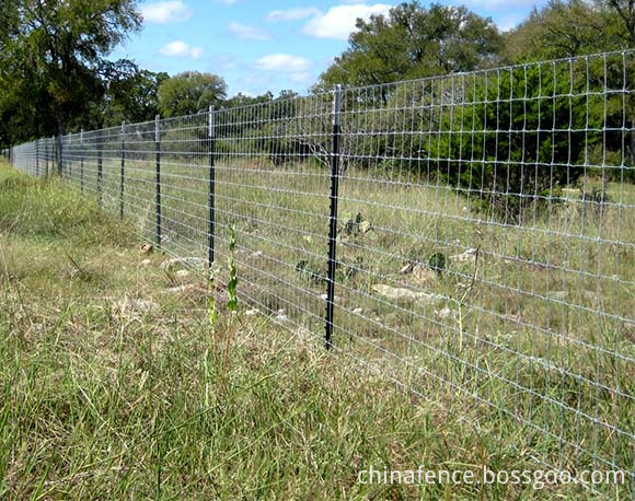 Bracing Corner Steel T Posts, High Quality Bracing Corner Steel T Posts ...