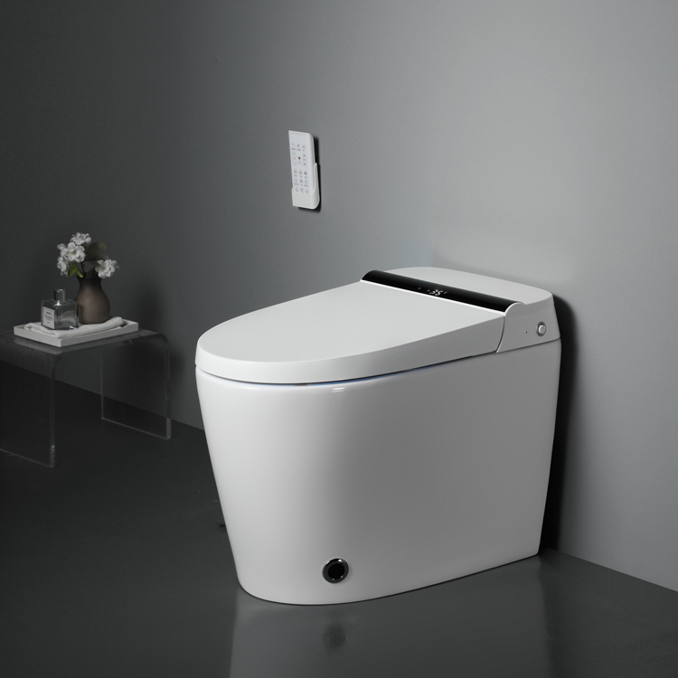 Floor Mounted Automatic Ceramic Smart Toilet Intelligent, High Quality ...