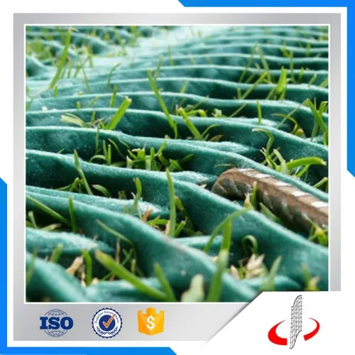 Grass Reinforcement Mesh, High Quality Grass Reinforcement Mesh on ...