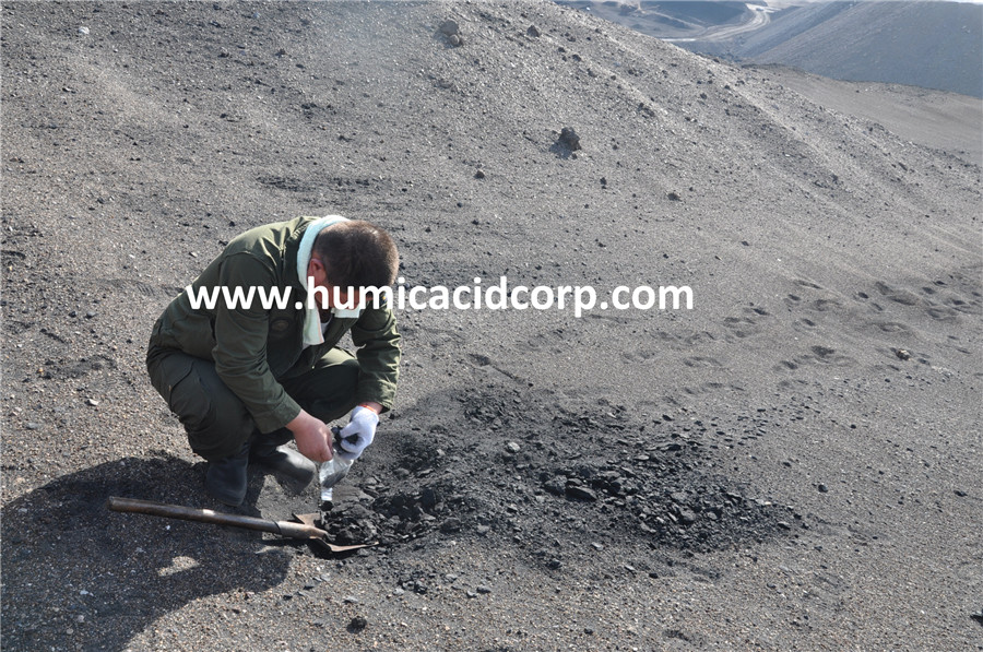 Humic Acid Leonardite Powder, High Quality Humic Acid Leonardite Powder ...