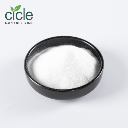 B-nine Daminozide 85% Sp, Bossgoo.com의 고품질 B-nine Daminozide 85% Sp