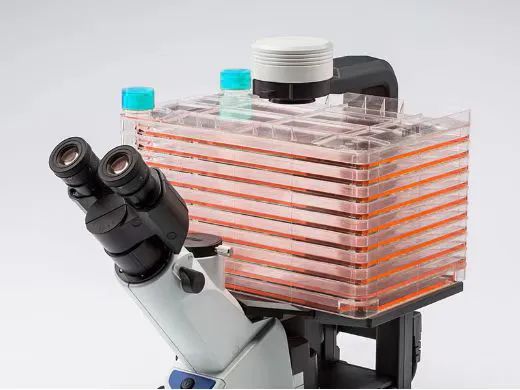 What you need to know about large scale cultivation (Issue 2 ...