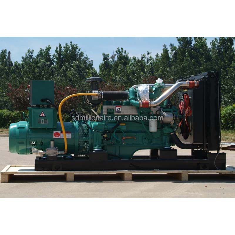 20kw/25kva Biogas Chp Generator: Natural Gas And Gas Turbine Options ...