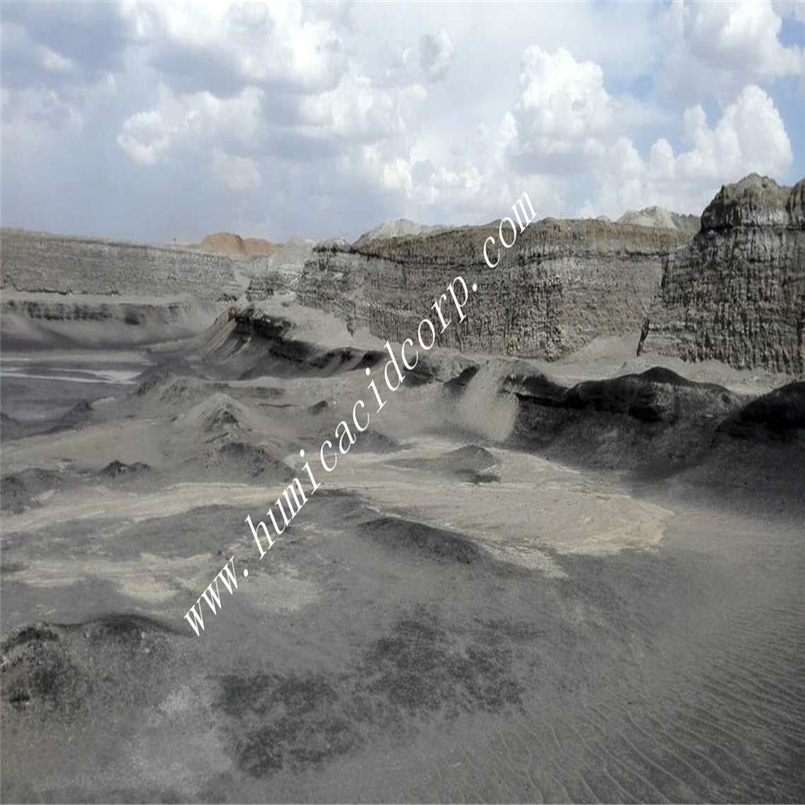 ผงซักฟอกโซเดียมซูเปอร์โซเดียมจาก Leonardite คุณภาพสูง ผงซักฟอกโซเดียมซู ...