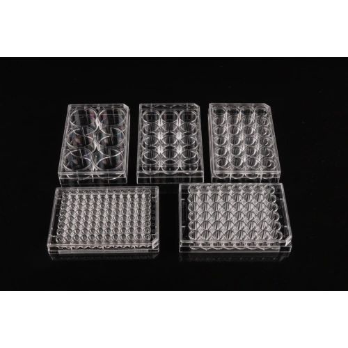 TC-Treated 12 well Cell Culture Plates China Manufacturers Suppliers ...