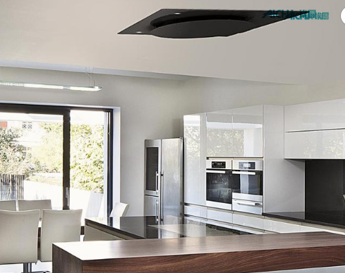 Built-in Ceiling Extractor Hood In France, High Quality Built-in ...