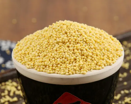 Proso Millet Seed, High Quality Proso Millet Seed on Bossgoo.com