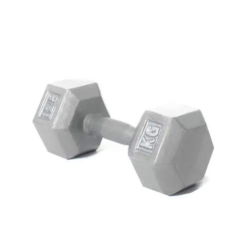 12.5kg Cast Iron Hex Dumbbell, High Quality 12.5kg Cast Iron Hex ...