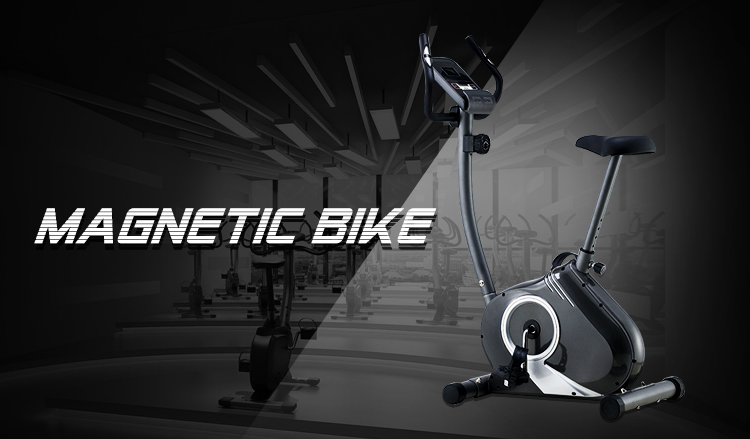 Magnetic Resistance Upright Exercise Bike With Eight Preset, High ...
