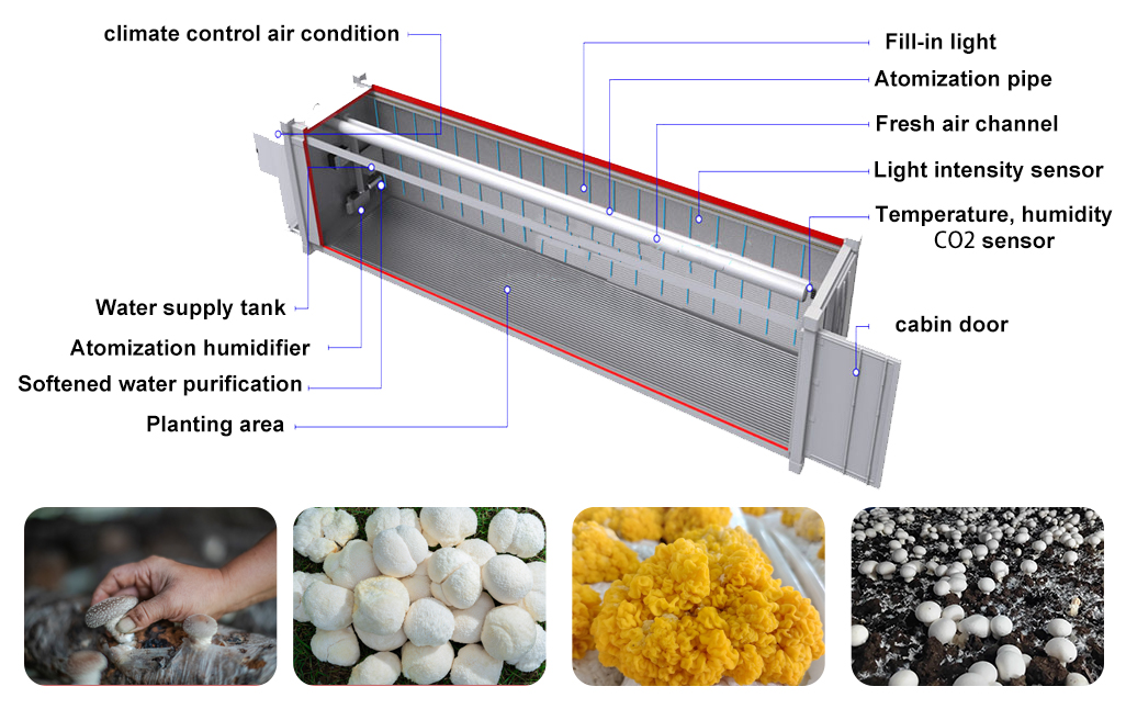 Automatic Plant Container: Smart Control 40/20ft Container Farm Grow ...