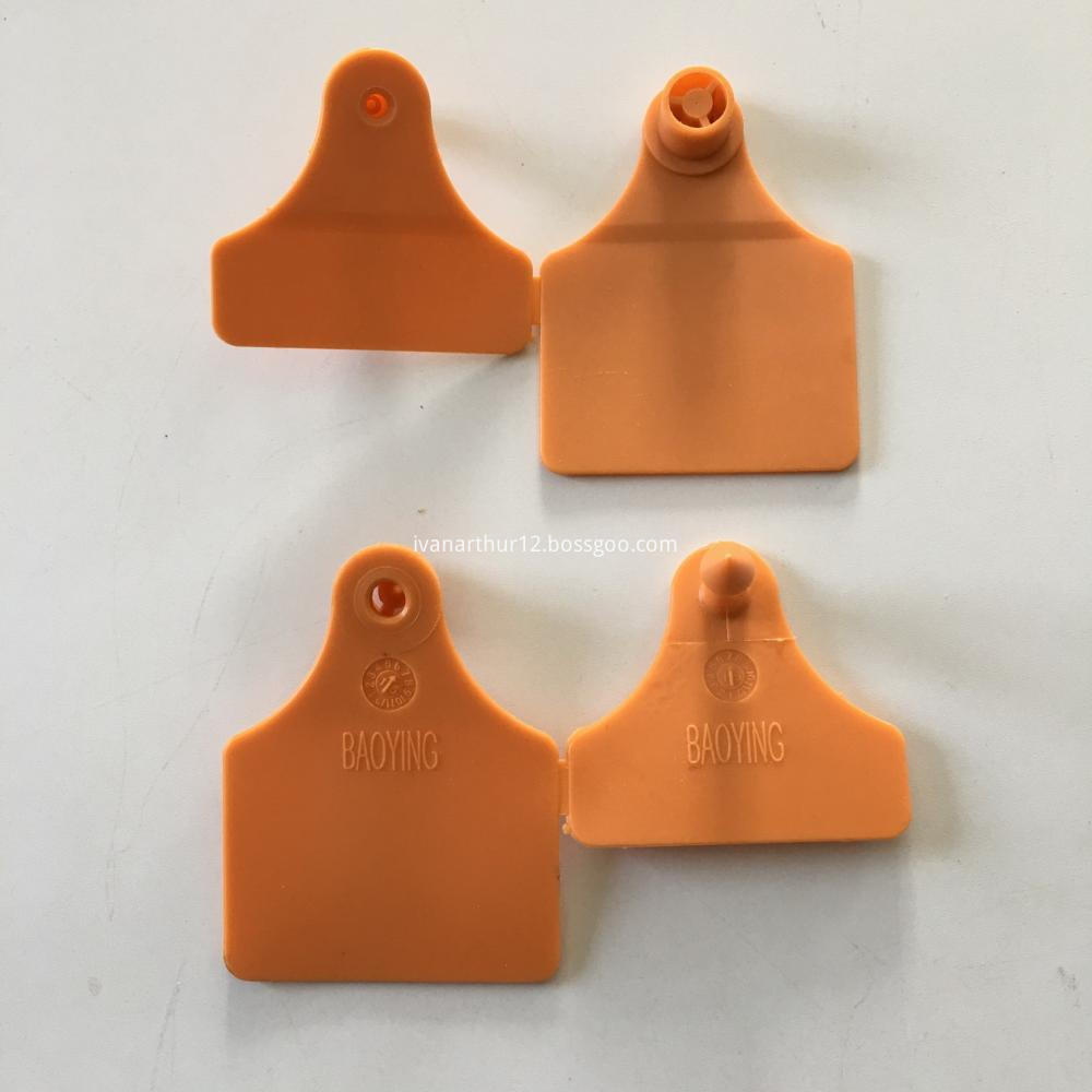 Camel Ear Tag, High Quality Camel Ear Tag on Bossgoo.com