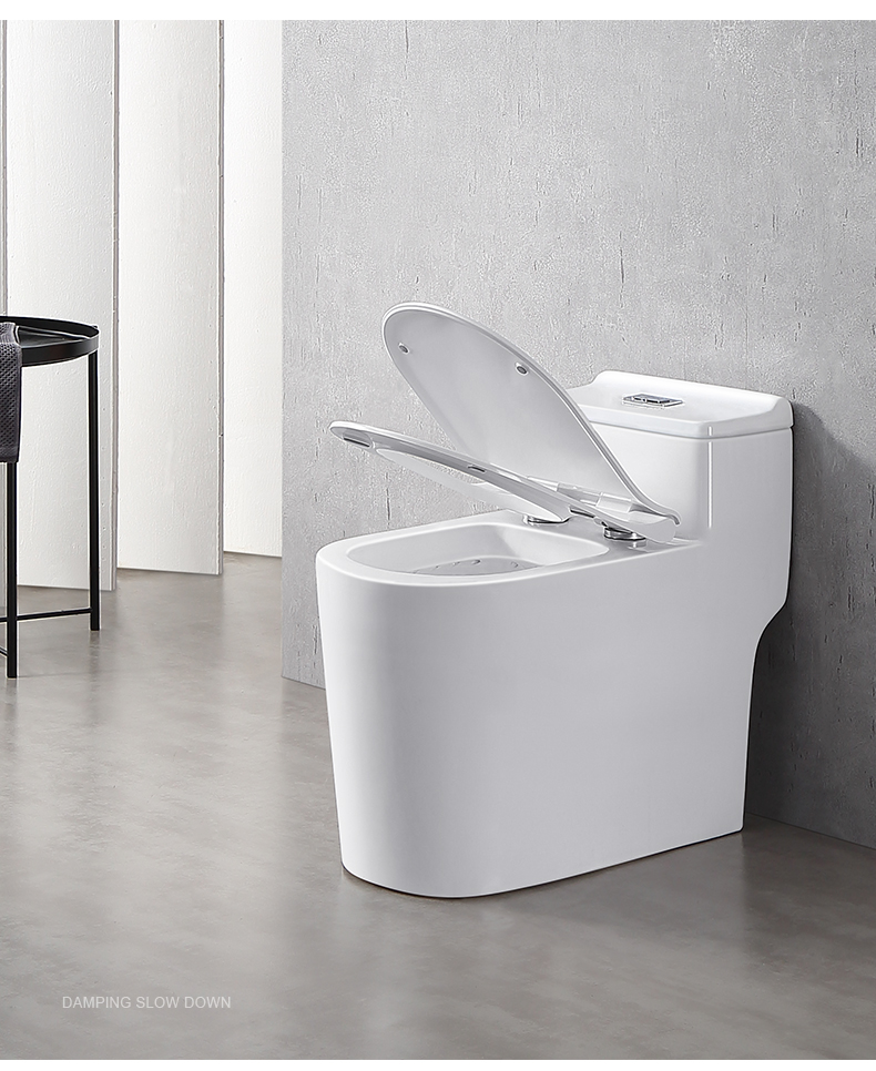 Modern White Smart Wall Hung Toilet With European China Style Ceramic ...
