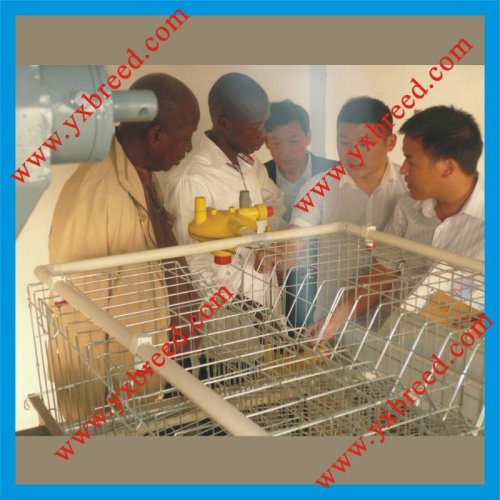 Pyramid Type Commercial Chicken Cage, High Quality Pyramid Type ...