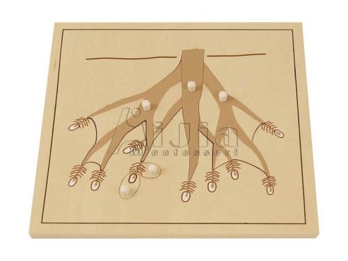 Montessori Teaching Items Root Puzzle,montessori Materials, High ...