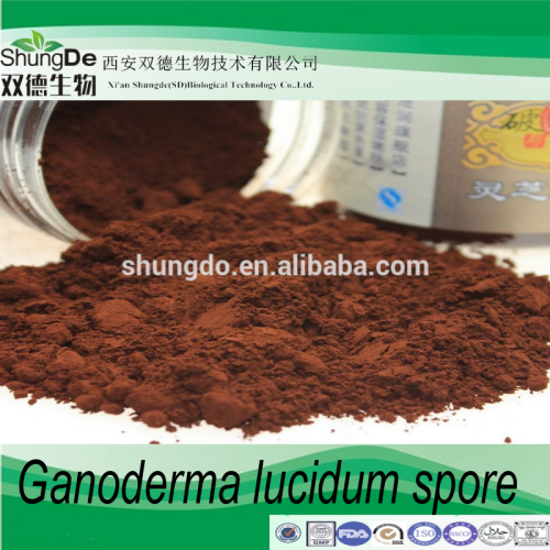 Ganoderma Lucidum Spore Powder/ Lingzhi Spore/ Ganoderma Lucidum Spore ...