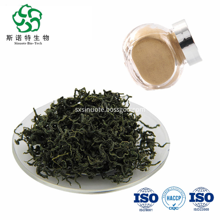 Water Soluble Gynostemma Extract 80% Gypenosides, High Quality Water Soluble Gynostemma Extract ...
