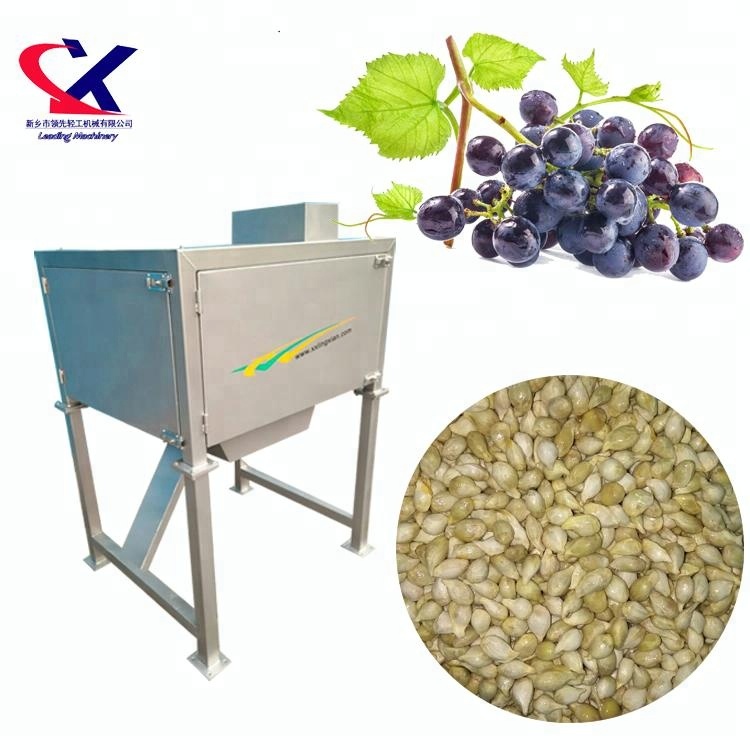 Industrial Grape And Fruit Seed Separator Machine - 2.5t/h Capacity ...