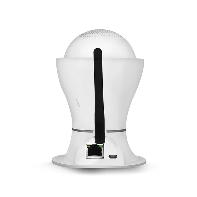 P/t Rotation Video Surveillance Ip Internet Camera, High Quality P/t ...