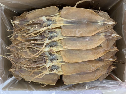 Frozen Seafood Dried Squid Pure, High Quality Frozen Seafood Dried Squid Pure on Bossgoo.com