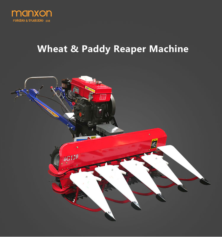 Diesel Engine Paddy Harvesting Wheat Harvester, High Quality Diesel ...