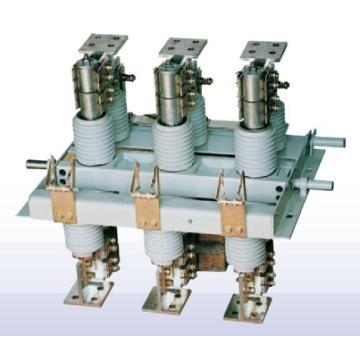 Indoor 12kv Hv Load Break Switch Zfn22-12, High Quality Indoor 12kv Hv ...