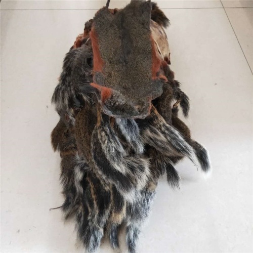 Whole Full Pelt Squirrel Fur Skin Hide With Tails Paw And Head, High ...