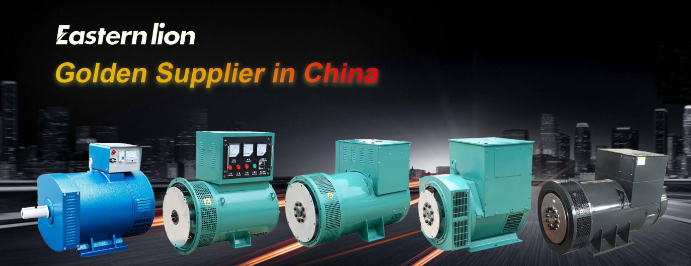 Eastern Lion Stc-3 3kw 3.75kva Synchronized Brush Alternator Diesel ...